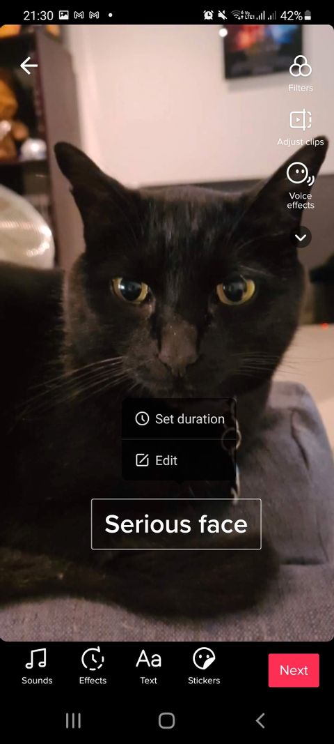 How To Add Text To Tik Tok? - Social Media Marketing | Predis.ai