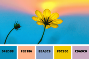 Palet warna biru: kode hex & inspirasi desain | Panduan Lengkap