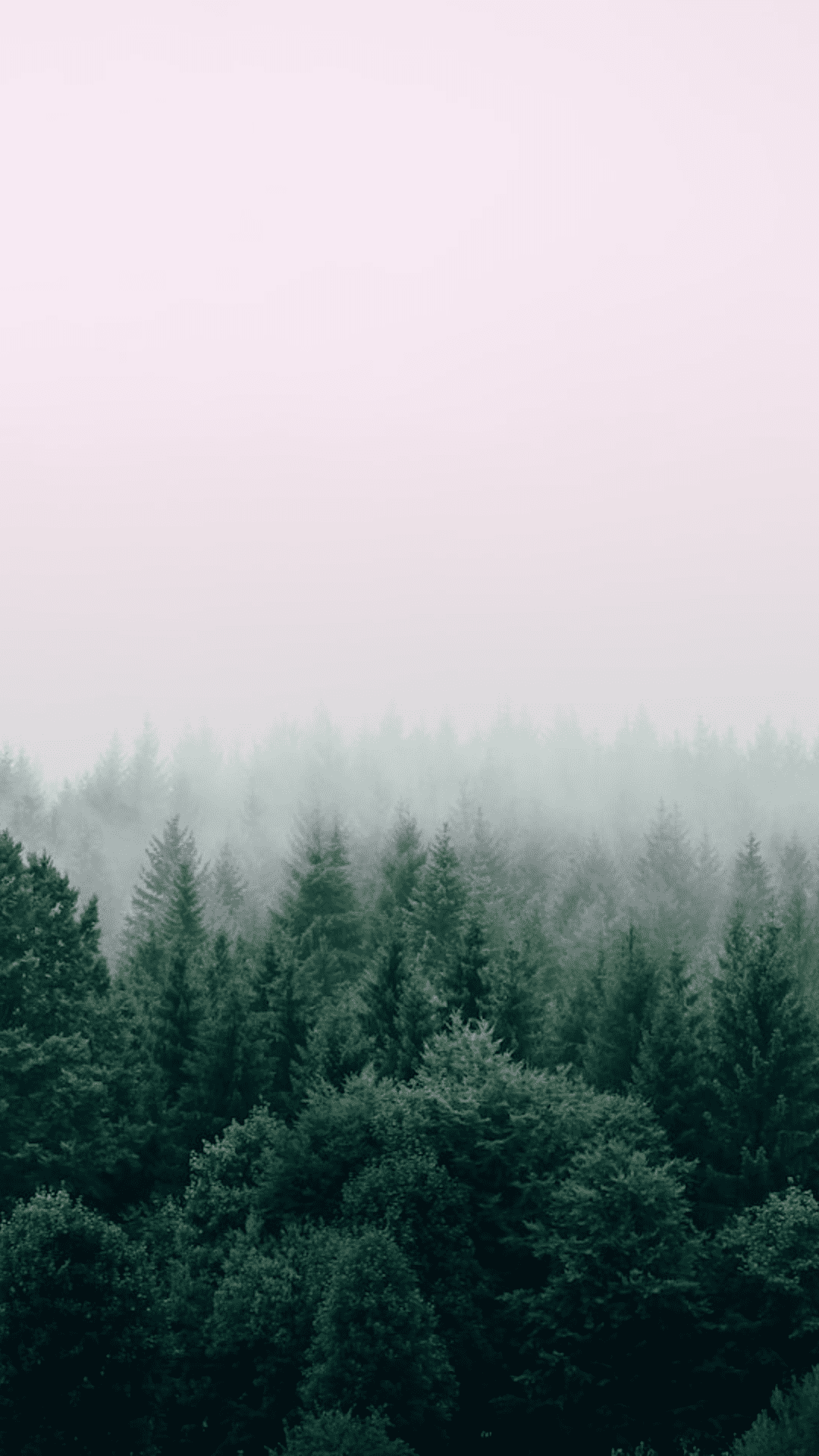 Crafting Aesthetic Instagram Story Background: A Complete Guide