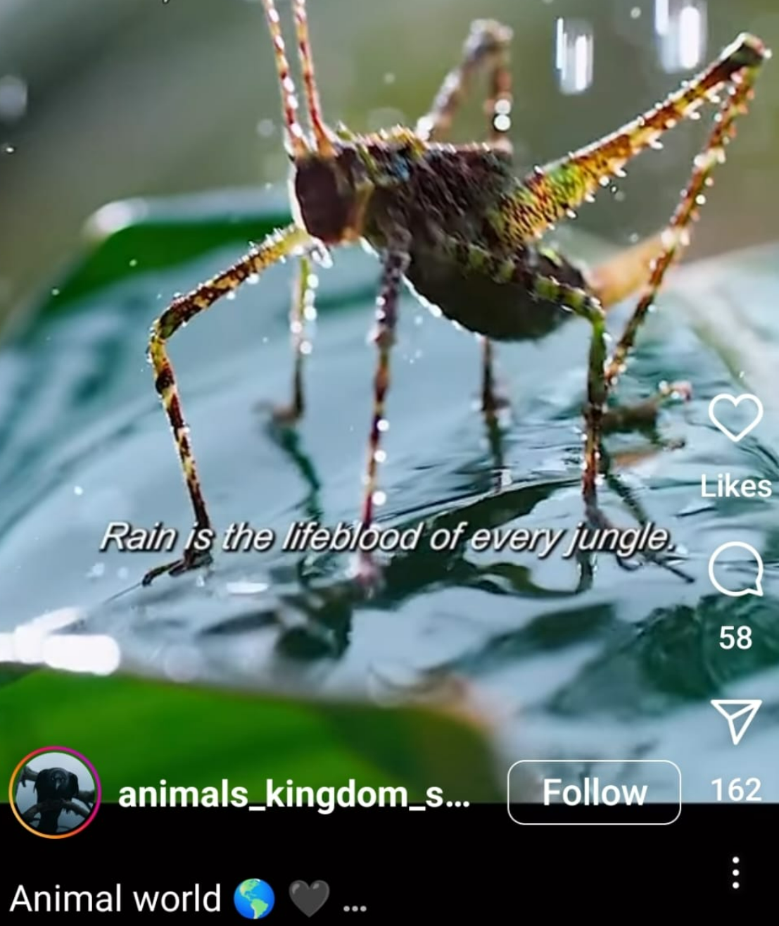 Agregar texto a voz en Instagram Reels Para un impacto máximo