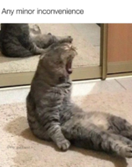 Ded - Meaning and usage in social media.