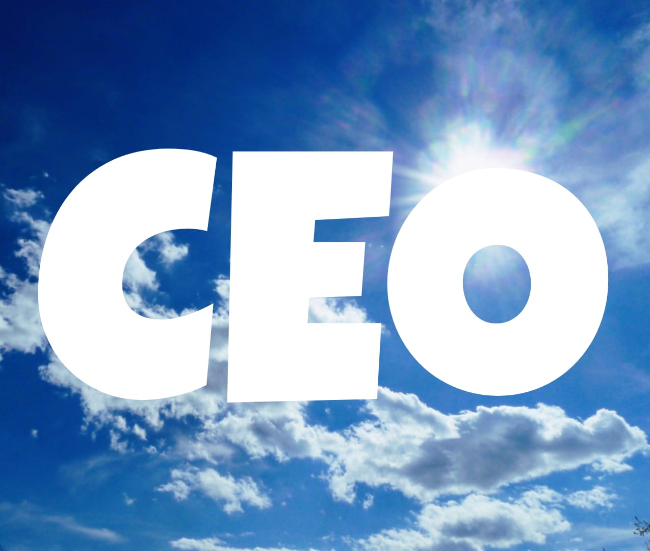 CEO (Ketua Pegawai Eksekutif) - Maksud dan penggunaan.