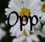 Opp - Meaning and Usage.