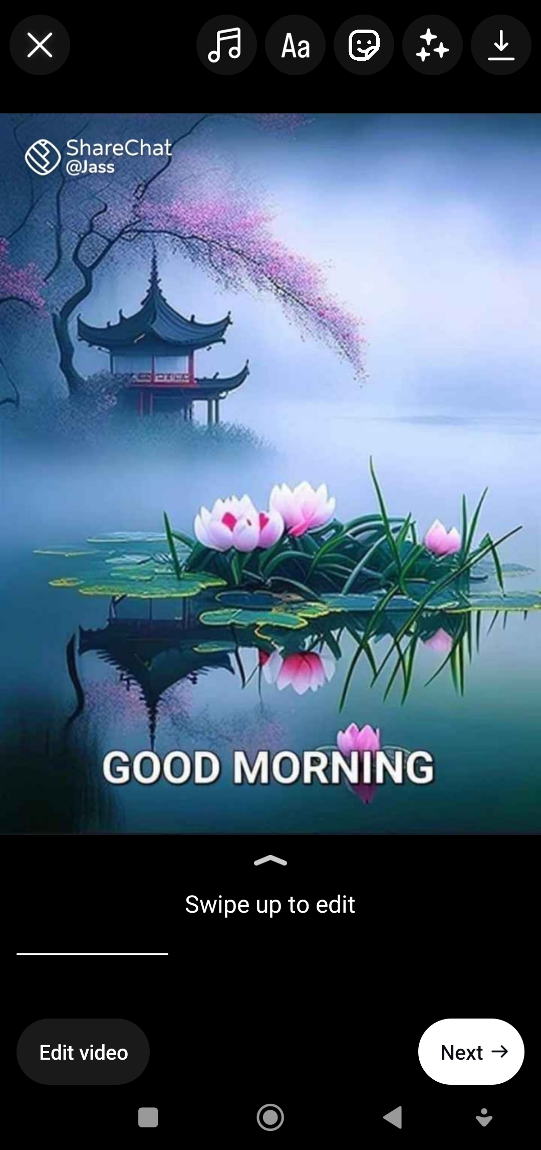 How to Create a Reel with Photos on Instagram [2024]: Easy Steps