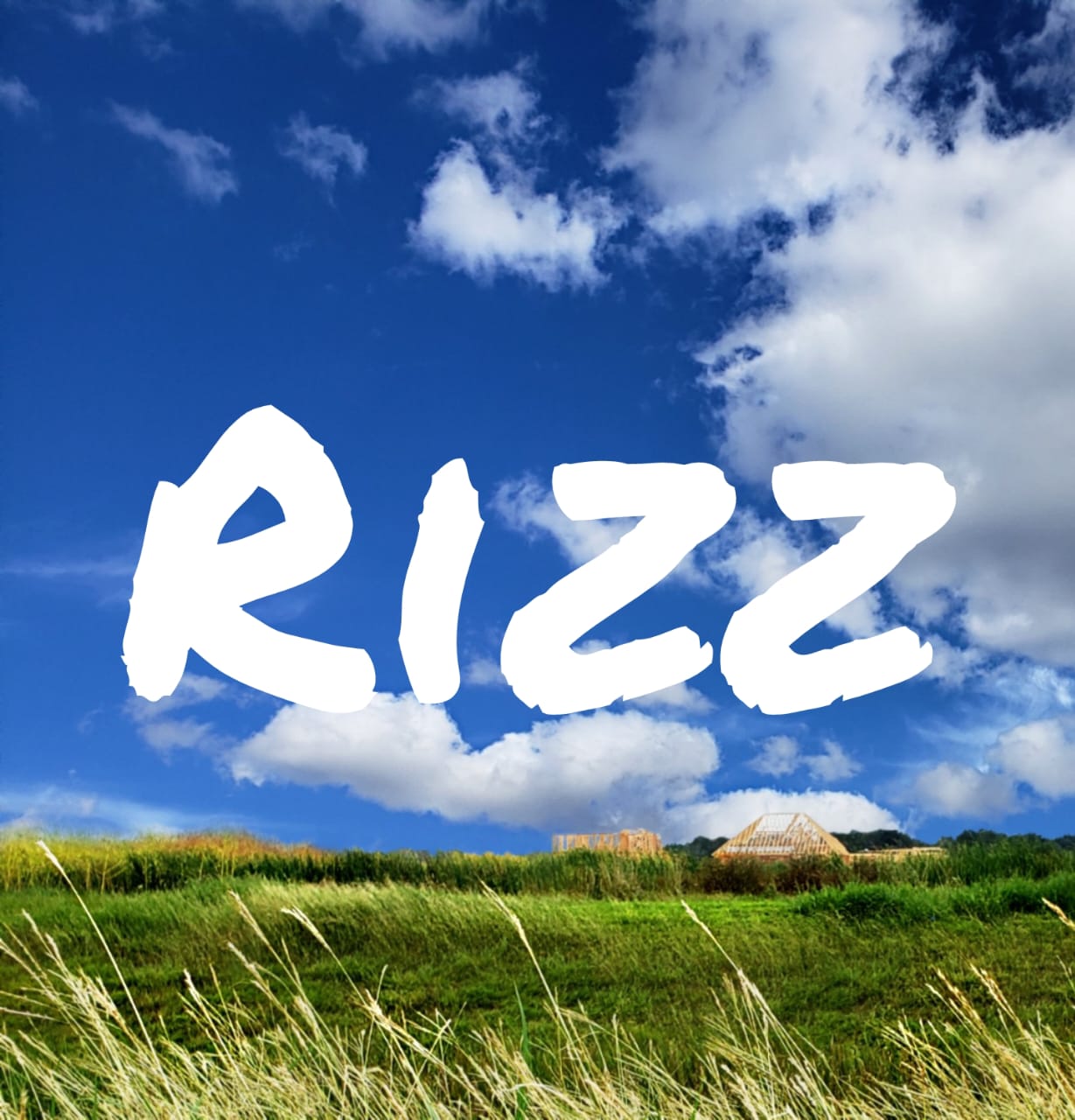 Rizz - Co to znamená?