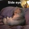 Side Eye - What does it mean?
