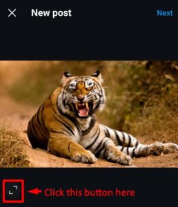 Make Pictures Fit on Instagram Without Cropping in 2025