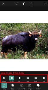 Make Pictures Fit on Instagram Without Cropping in 2025