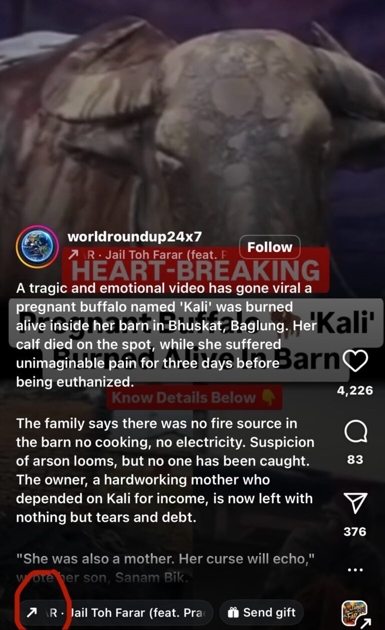 What to Do If Your Instagram Ad Is Not Getting Reach?